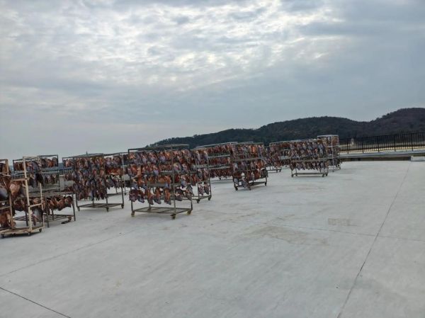 糍粑鱼块要风干多久_最佳风干时间-第3张图片-山城妙识