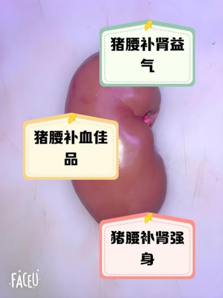 猪腰是什么器官_猪腰子的功效与作用-第1张图片-山城妙识