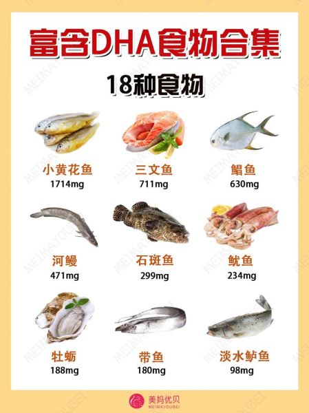 哪些食物DHA含量高_孕妇怎么补DHA-第2张图片-山城妙识