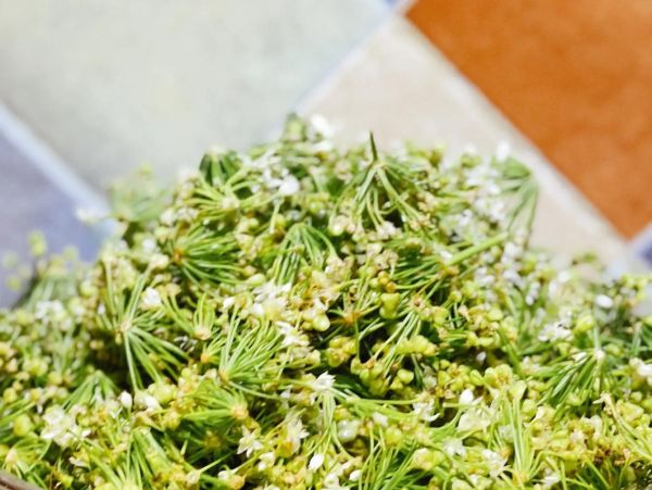 韭菜花怎么腌制_韭菜花酱的做法大全-第2张图片-山城妙识 韭菜花怎么腌制_韭菜花酱的做法大全-第2张图片-山城妙识