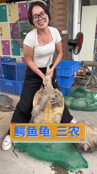 鳄鱼龟吃什么食物_鳄鱼龟可以吃什么蔬菜-第2张图片-山城妙识