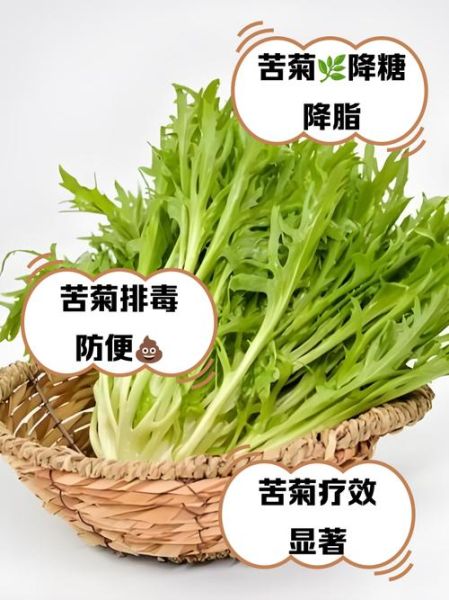 苦苣和苦菊的区别_苦苣苦菊哪个更苦-第1张图片-山城妙识 苦苣和苦菊的区别_苦苣苦菊哪个更苦-第1张图片-山城妙识