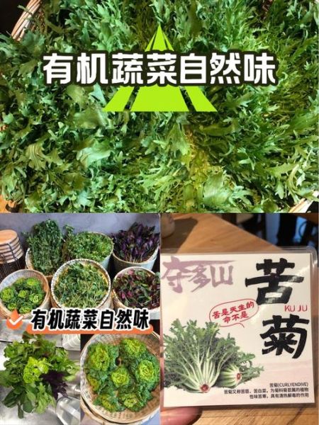 苦苣和苦菊的区别_苦苣苦菊哪个更苦-第3张图片-山城妙识 苦苣和苦菊的区别_苦苣苦菊哪个更苦-第3张图片-山城妙识