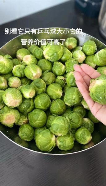 甘蓝菜是什么菜_甘蓝菜图片长什么样-第2张图片-山城妙识