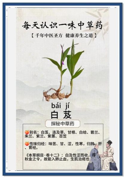 白芨能治胃病吗_白芨治胃病怎么用-第1张图片-山城妙识 白芨能治胃病吗_白芨治胃病怎么用-第1张图片-山城妙识