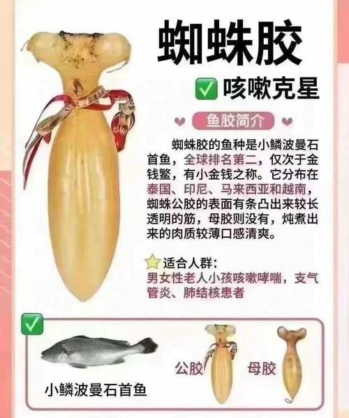 吃鱼胶的禁忌人群_哪些人不适合吃鱼胶-第2张图片-山城妙识