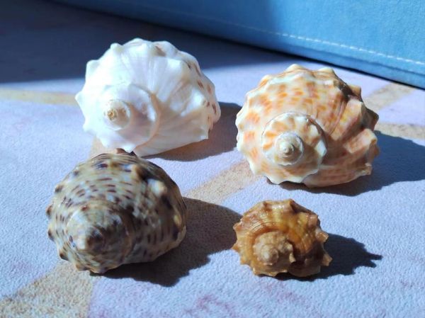 红螺图片怎么拍_红螺摄影技巧有哪些-第3张图片-山城妙识