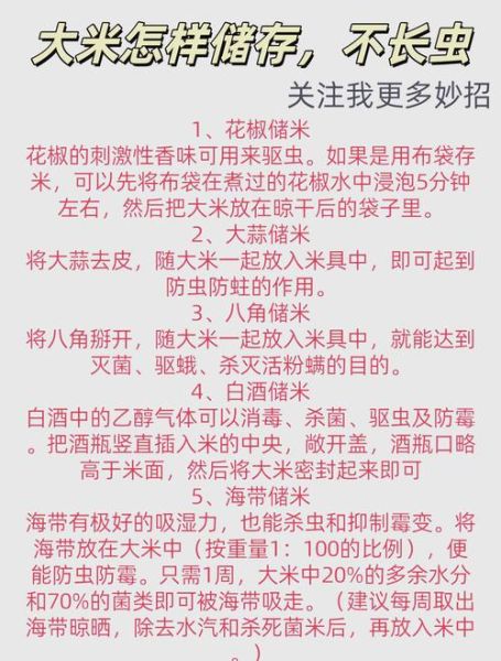 大米怎么储存不生虫_家庭防虫妙招-第1张图片-山城妙识