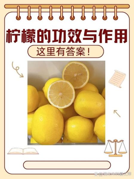 盐腌柠檬的功效与作用_盐腌柠檬怎么吃最好-第3张图片-山城妙识