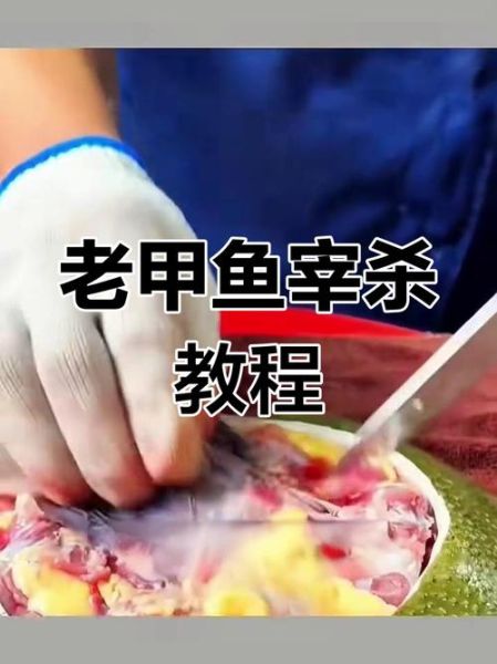 怎么杀甲鱼_甲鱼宰杀步骤-第3张图片-山城妙识 怎么杀甲鱼_甲鱼宰杀步骤-第3张图片-山城妙识