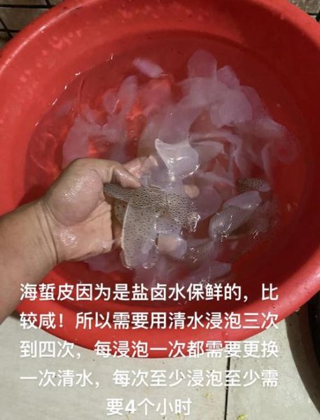 野生海蜇怎么吃_野生海蜇怎么处理才能吃-第2张图片-山城妙识