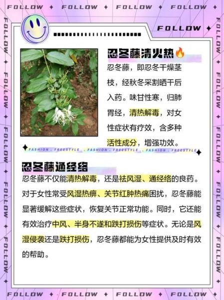 忍冬藤的功效与作用_忍冬藤主治什么病-第1张图片-山城妙识 忍冬藤的功效与作用_忍冬藤主治什么病-第1张图片-山城妙识