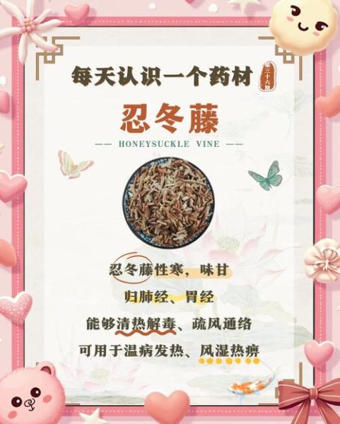 忍冬藤的功效与作用_忍冬藤主治什么病-第2张图片-山城妙识 忍冬藤的功效与作用_忍冬藤主治什么病-第2张图片-山城妙识