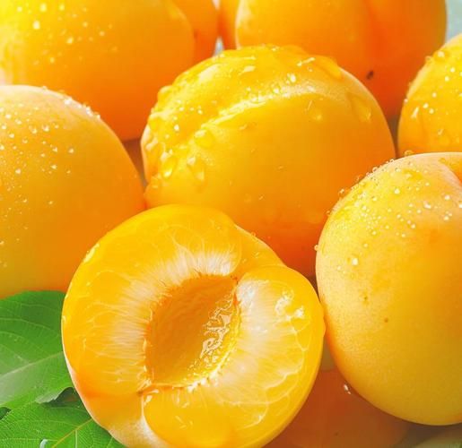 黄桃的功效与作用_黄桃可以减肥吗-第2张图片-山城妙识 黄桃的功效与作用_黄桃可以减肥吗-第2张图片-山城妙识