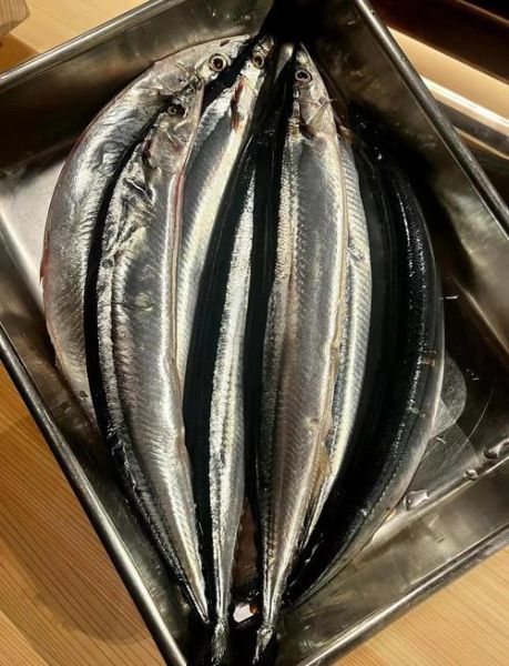秋刀鱼的营养价值_秋刀鱼哪些人不能吃-第2张图片-山城妙识