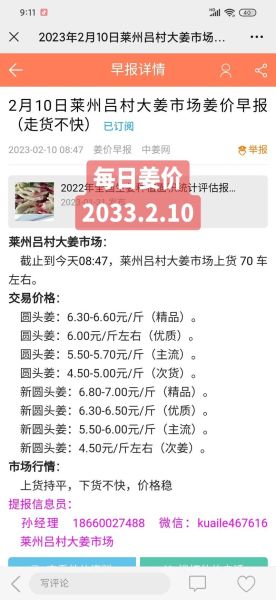 今日生姜价格多少钱一斤_生姜价格走势还会涨吗-第1张图片-山城妙识 今日生姜价格多少钱一斤_生姜价格走势还会涨吗-第1张图片-山城妙识