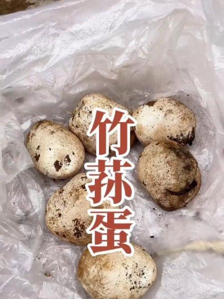 竹荪蛋怎么做好吃_竹荪蛋的做法大全-第2张图片-山城妙识