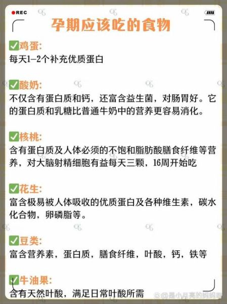 怀孕前三个月注意事项_饮食禁忌有哪些-第2张图片-山城妙识