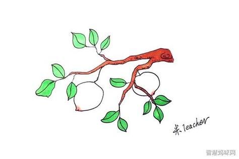 桃树图片卡通怎么画_桃树卡通简笔画教程-第3张图片-山城妙识 桃树图片卡通怎么画_桃树卡通简笔画教程-第3张图片-山城妙识