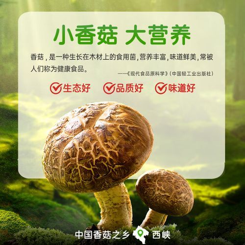 香菇酱怎么吃_香菇酱的吃法大全-第3张图片-山城妙识 香菇酱怎么吃_香菇酱的吃法大全-第3张图片-山城妙识