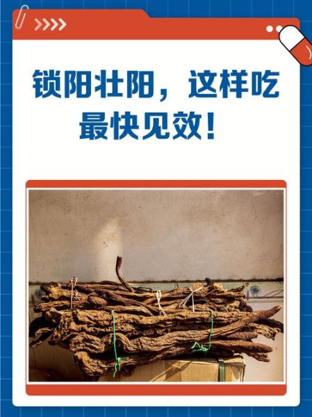 锁阳怎么吃效果最好_锁阳泡酒还是炖汤-第3张图片-山城妙识 锁阳怎么吃效果最好_锁阳泡酒还是炖汤-第3张图片-山城妙识