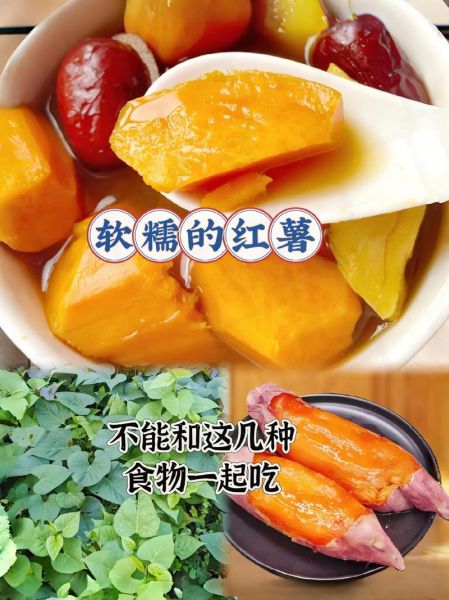 山芋的功效与作用禁忌_山芋不能和什么一起吃-第3张图片-山城妙识