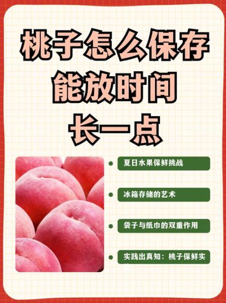 桃子怎么保存_桃子可以冷冻吗-第1张图片-山城妙识