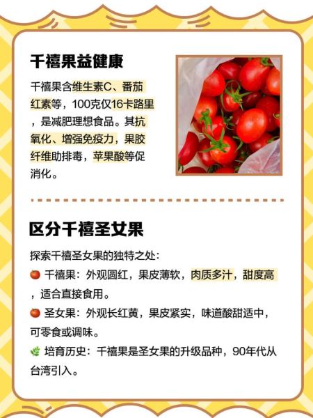 樱桃番茄怎么保存_樱桃番茄的营养价值-第1张图片-山城妙识