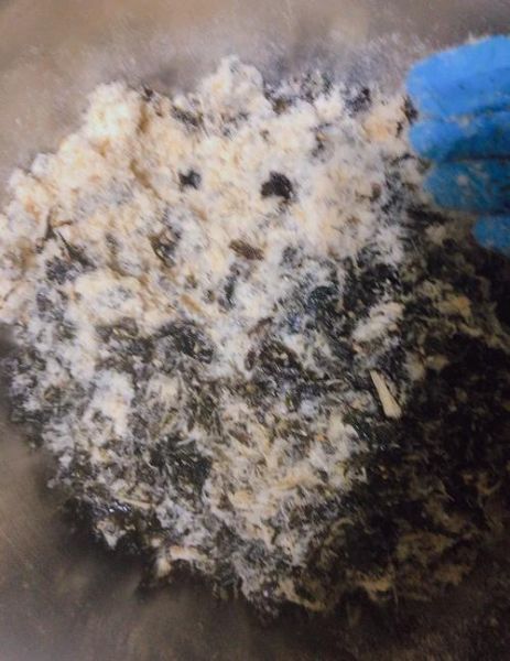 肉松洗出来是棉花是真的吗_肉松棉花真相揭秘-第1张图片-山城妙识