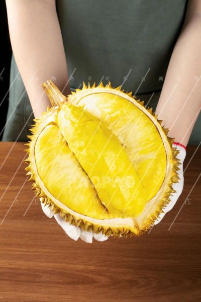 榴莲视频怎么下载_榴莲视频下载方法-第1张图片-山城妙识 榴莲视频怎么下载_榴莲视频下载方法-第1张图片-山城妙识