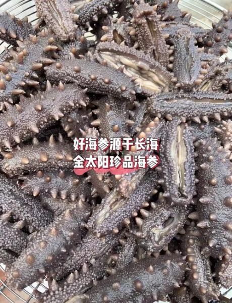 盐渍海参怎么吃_盐渍海参泡发多久-第1张图片-山城妙识