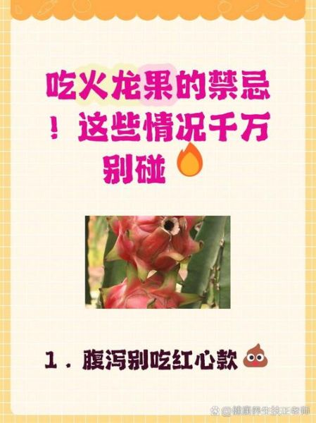 吃红心火龙果的禁忌_红心火龙果不能和什么一起吃-第1张图片-山城妙识