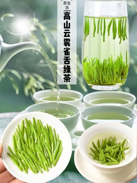 绿茶有哪些品种_绿茶都有什么茶-第2张图片-山城妙识