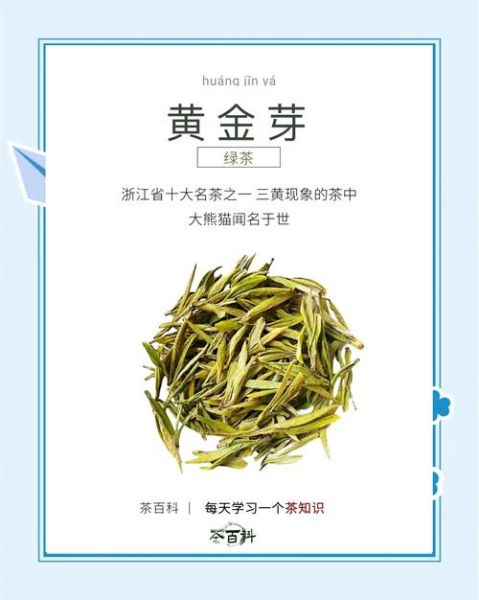 绿茶有哪些品种_绿茶都有什么茶-第1张图片-山城妙识