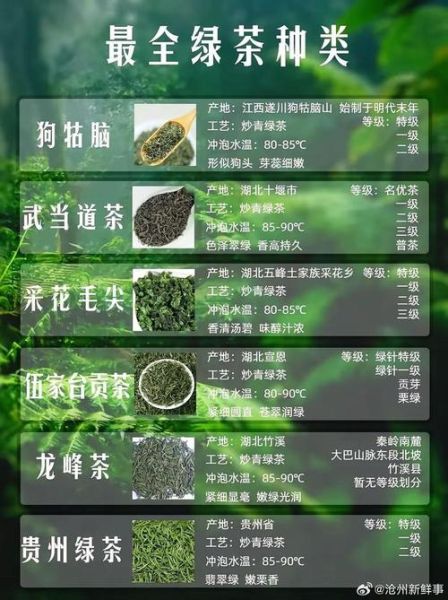 绿茶有哪些品种_绿茶都有什么茶-第3张图片-山城妙识