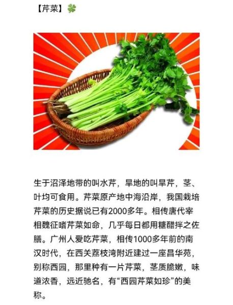 芹菜怎么保存时间长_芹菜的营养价值有哪些-第1张图片-山城妙识