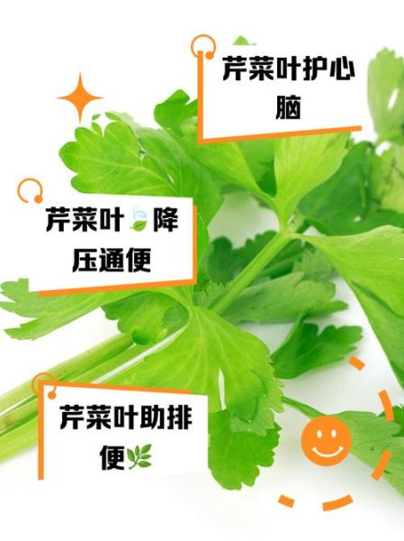 芹菜怎么保存时间长_芹菜的营养价值有哪些-第2张图片-山城妙识