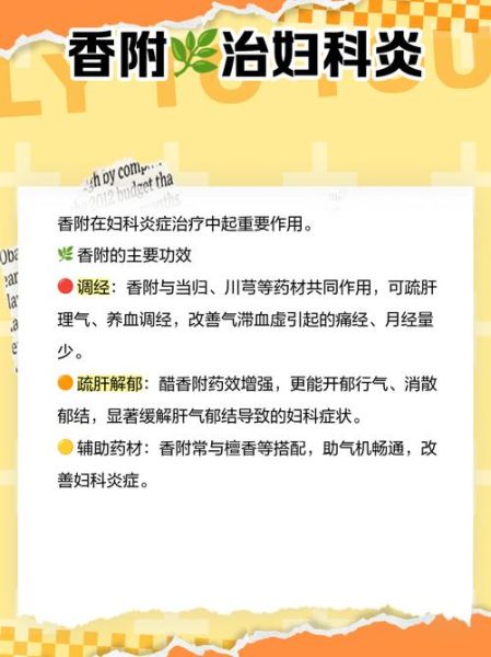 醋香附的功效与作用_醋香附怎么服用效果最好-第3张图片-山城妙识