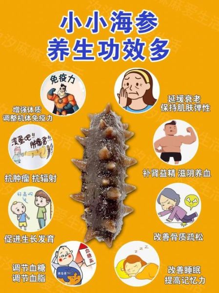 长期吃海参有什么好处_海参的功效与作用-第1张图片-山城妙识