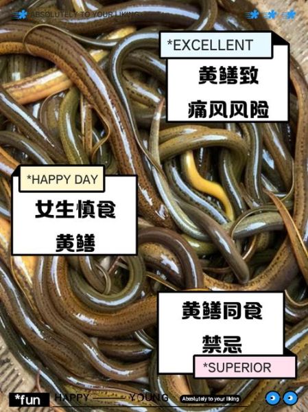 老人说大黄鳝不能吃_大黄鳝到底能不能吃-第3张图片-山城妙识