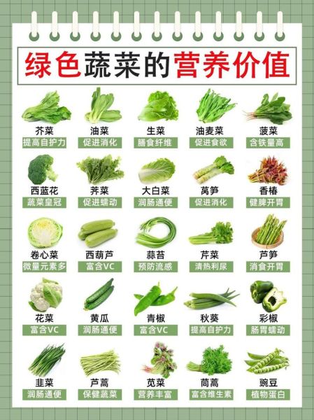 常见蔬菜有哪些_蔬菜营养价值排行榜-第2张图片-山城妙识