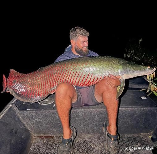 巨骨舌鱼图片_巨骨舌鱼长什么样-第2张图片-山城妙识 巨骨舌鱼图片_巨骨舌鱼长什么样-第2张图片-山城妙识