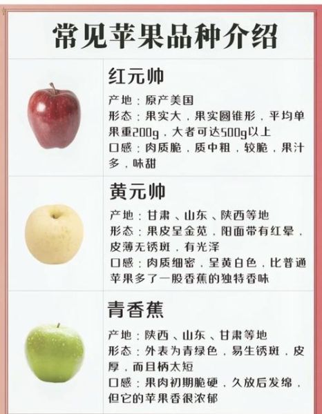 中国最好吃的苹果排名_哪个品种最甜-第1张图片-山城妙识