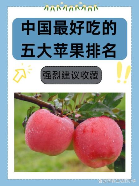 中国最好吃的苹果排名_哪个品种最甜-第3张图片-山城妙识
