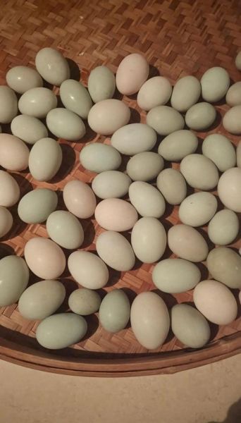 盐焗蛋怎么做_盐焗蛋需要多长时间-第3张图片-山城妙识