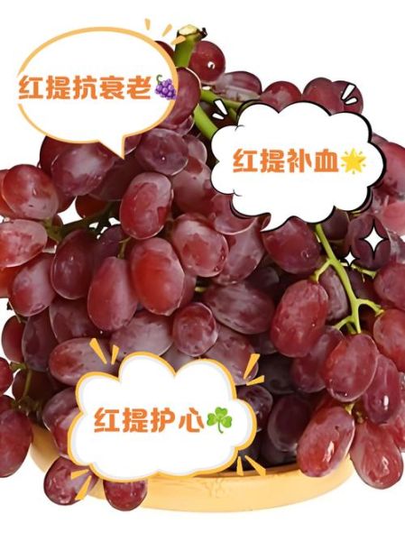 红提子酒的功效与作用_每天喝多少合适-第2张图片-山城妙识