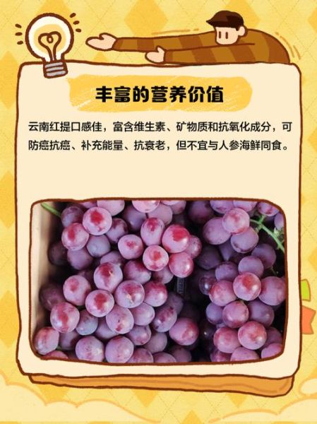 红提子酒的功效与作用_每天喝多少合适-第1张图片-山城妙识