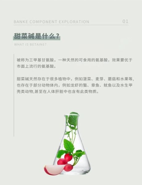 甜菜碱对皮肤的作用_甜菜碱可以天天用吗-第2张图片-山城妙识 甜菜碱对皮肤的作用_甜菜碱可以天天用吗-第2张图片-山城妙识