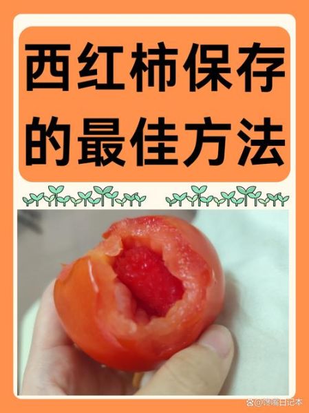 番茄怎么保存时间长_番茄可以放冰箱吗-第1张图片-山城妙识