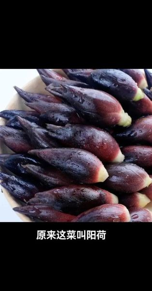 阳荷怎么吃_阳荷的做法大全-第1张图片-山城妙识 阳荷怎么吃_阳荷的做法大全-第1张图片-山城妙识